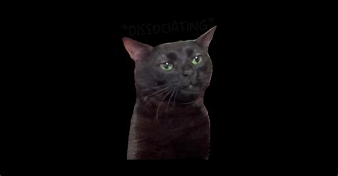 Dissociating Zoning Out Black Cat Meme Dissociating Black Cat Meme Magnet Teepublic