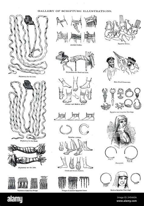 Phylacteries And Boarders