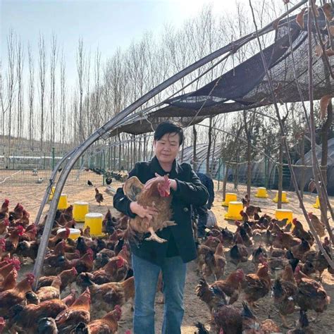 【巾帼风采】杨秀萍：巾帼书记显担当 释放乡村振兴 她力量”井村海子集体