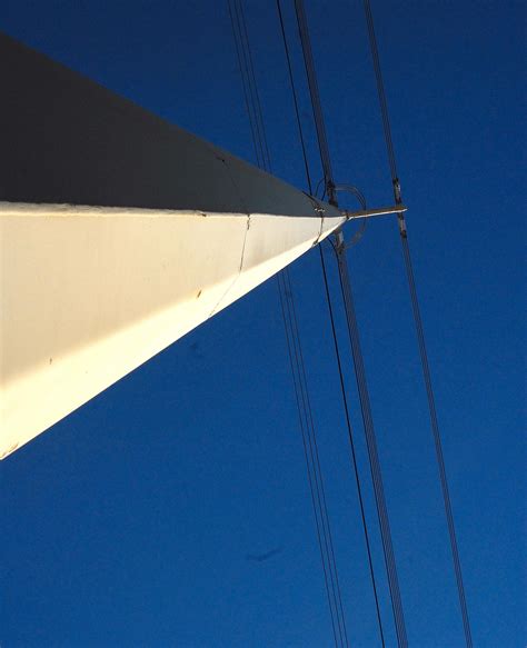 Perspective Shutterbug