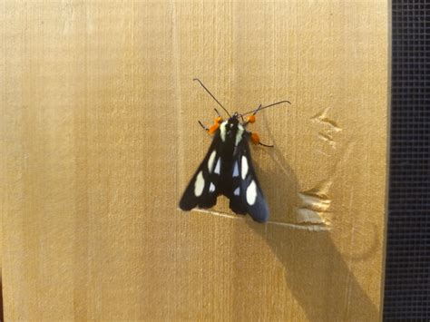 New Visitors Sowing Seeds Nursery