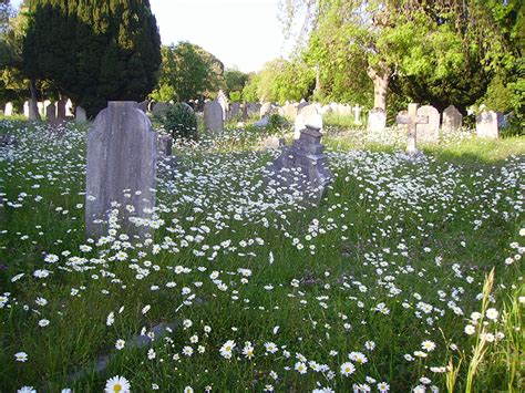 Meet Our Members Paul Robards Sussex Wildlife Trust