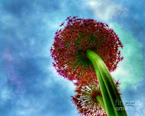 Perspective Photograph By Rob Mandell Fine Art America