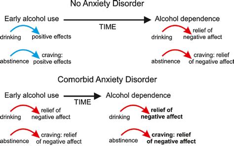 Figure 1 From Adolescent Social Isolation As A Model Of Heightened