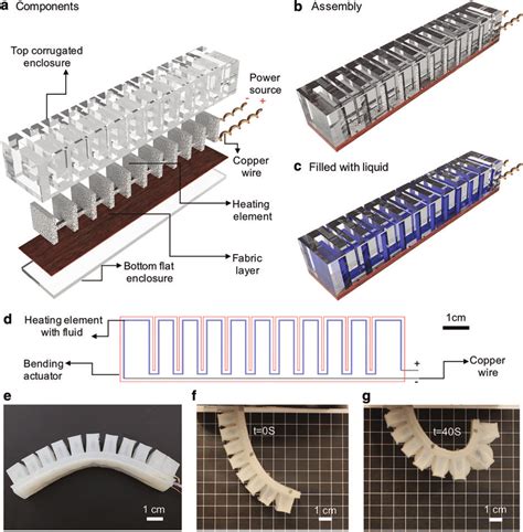 A Components Of The Soft Actuator B Assembly Of The Soft Actuator