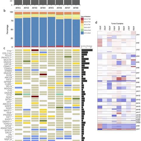 Whole Exome Sequencing Identifies Copy Number Variations And Frequent Download Scientific