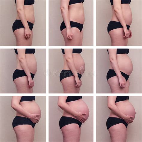 Pregnancy Belly Stages