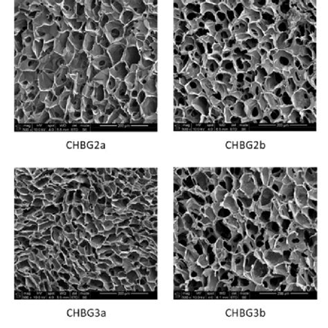 Microstructure Of Porous Composites Used In Direct And Indirect Download Scientific Diagram