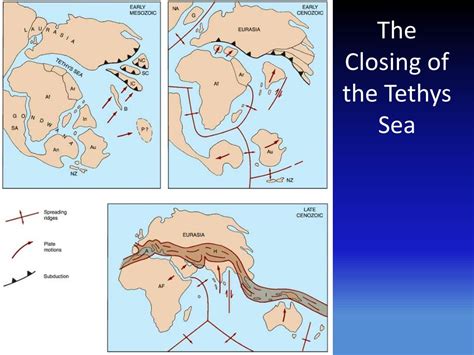 Ppt Earth History Geol 2110 Powerpoint Presentation Free Download