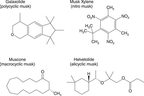 Image Barwich 2020 Examples Of Structurally Diverse Musk Molecules