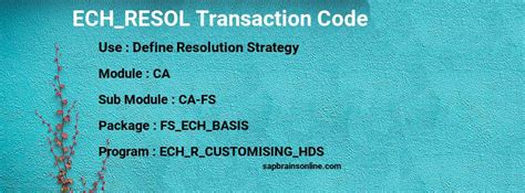 Echresol Sap Tcode For Define Resolution Strategy