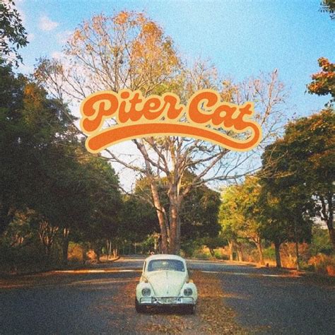 Piter Cat Youtube