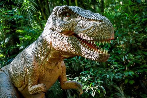 Terra Dos Dinos Em Miguel Pereira é O Maior Parque De Dinossauros Do