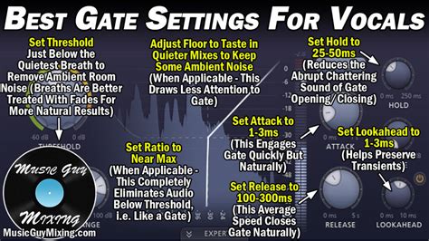 The Best Noise Gate Settings For Vocals Music Guy Mixing