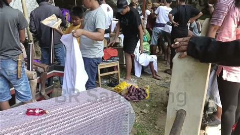 Manene Di Obje Wisata Londa Youtube