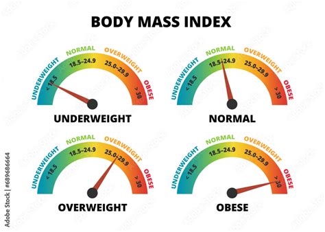 Vector Infographic Set Of Body Mass Index Bmi Calculator Isolated On