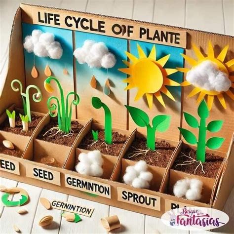 Soil Layer Model Easy Idea Soil Profile Model School Project Layers Of
