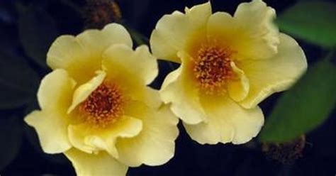 长乐代开广告设计费发票 Imgur