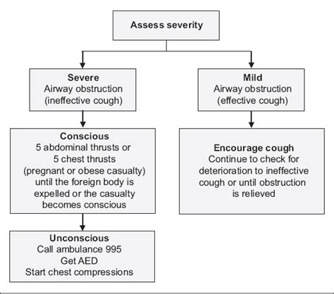 Basic Cardiac Life Support 2016 Singapore Guidelines Smj