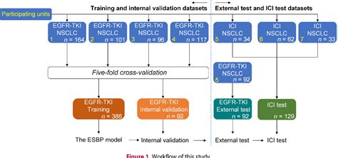 Figure 1 From A Deep Learning Based System For Survival Benefit Prediction Of Tyrosine Kinase
