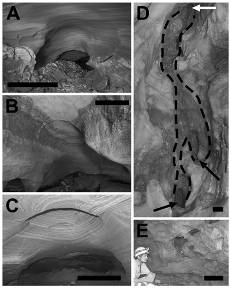 Morphologic Cave Features Indicative Of Hypogene Speleogenesis Within
