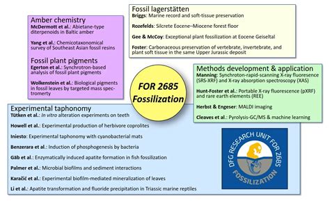 International Workshop On Fossilization Jun 14 Jun 17 2024 — Paleoen