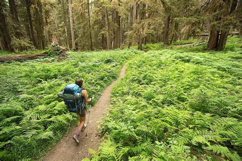 An Introduction To Ecotourism