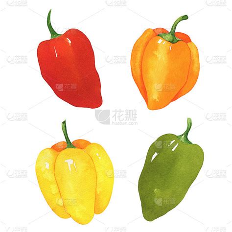 明亮的套装与彩色的甜椒