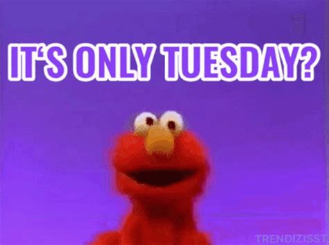 Its Tuesday