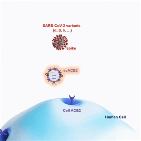 Kaveh Kavousi Posted On Linkedin