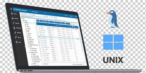 Ibm Db2 Database Computer Software Business And Productivity Software Ibm Db2 Electronics Text