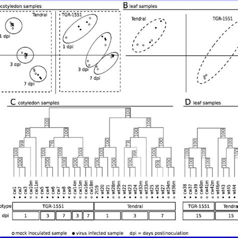 Analysis Of Biological Variability In Microarray Samples A Principal Download Scientific