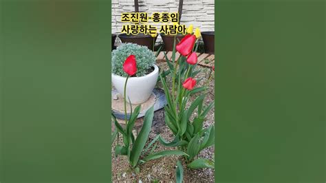 조진원홍종임사랑하는 사람아 Youtube