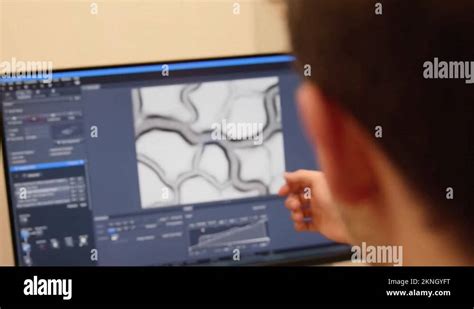 Scientist Talks About Specimen On Computer Monitor Stock Video Footage Alamy