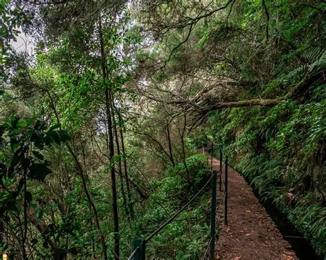 Top 20 Des Plus Belles Levadas Et Randonnées De Madère