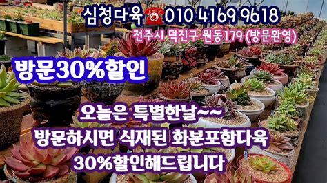 전주심청다육 방문하시면 화분에식재된다육 30할인혜택 드려요🍁고급품종다육식재🍁목대긴수형 미인등 다육군생들 Succulents