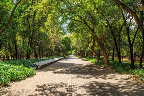 Bosque De Chapultepec En La Cdmx Guía Turística A Detalle Tips Para