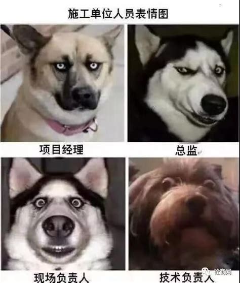 最全的施工单位人员表情包，快来看看是不是你身边的他或她吧！ 企业新闻