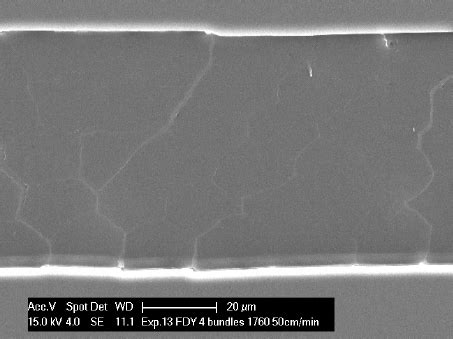 Sem Picture Of Fused Dyneema® Filaments Download Scientific Diagram