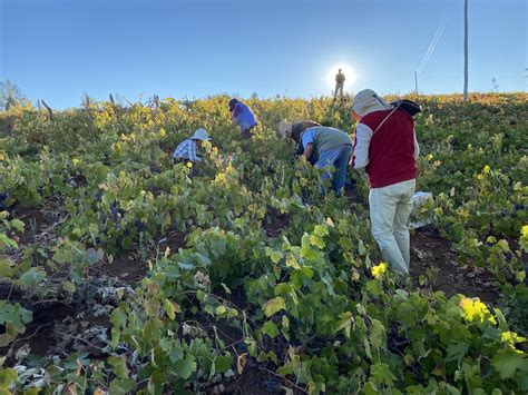 Itata Garage Wine Tools
