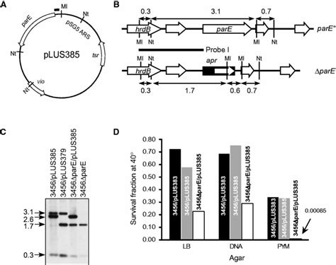 Creation And Characterization Of Temperature Sensitive Ts Mutants Of Download Scientific