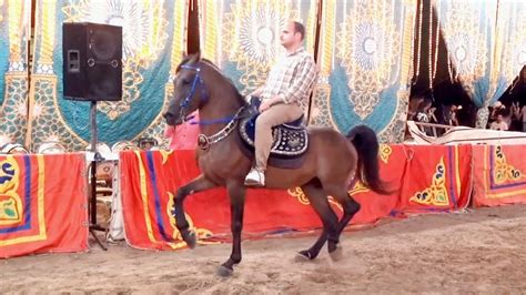 ادهم العمدة وشاكر ابو شتيوي حفلة دمياط الجديدة 2024 Youtube