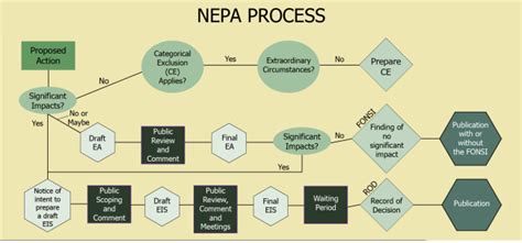 Nepa Process Chart