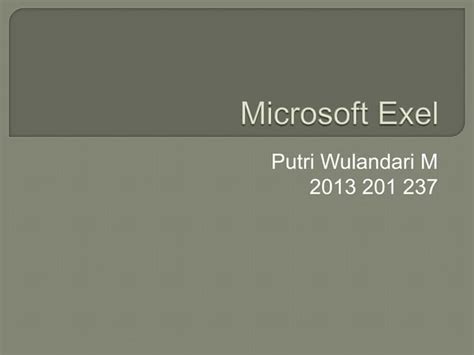 Microsoft Exel Ppt