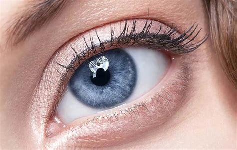 بن مژه چیست و چه عوارضی دارد؟ • دیجی‌کالا مگ