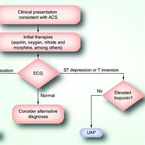 Time Course Of Cardiac Troponin Elevation As It Relates To The Size Of
