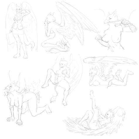 Rule 34 Avian Female Fuzzies4you Group Group Sex Gryphon Male