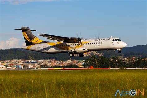 Passaredo Completa 25 Anos De Vida Com Novo Recomeço E Vídeo Especial