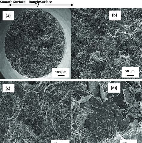 Scanning Electron Micrographs Of The Tensile Fracture Surface Of Download Scientific Diagram