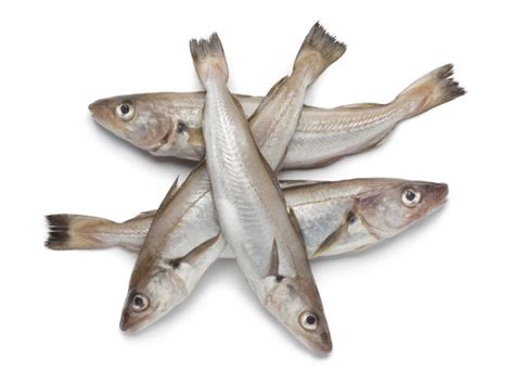 Asuhos Whiting Clean And Gutted 450 500g Fish N Chix